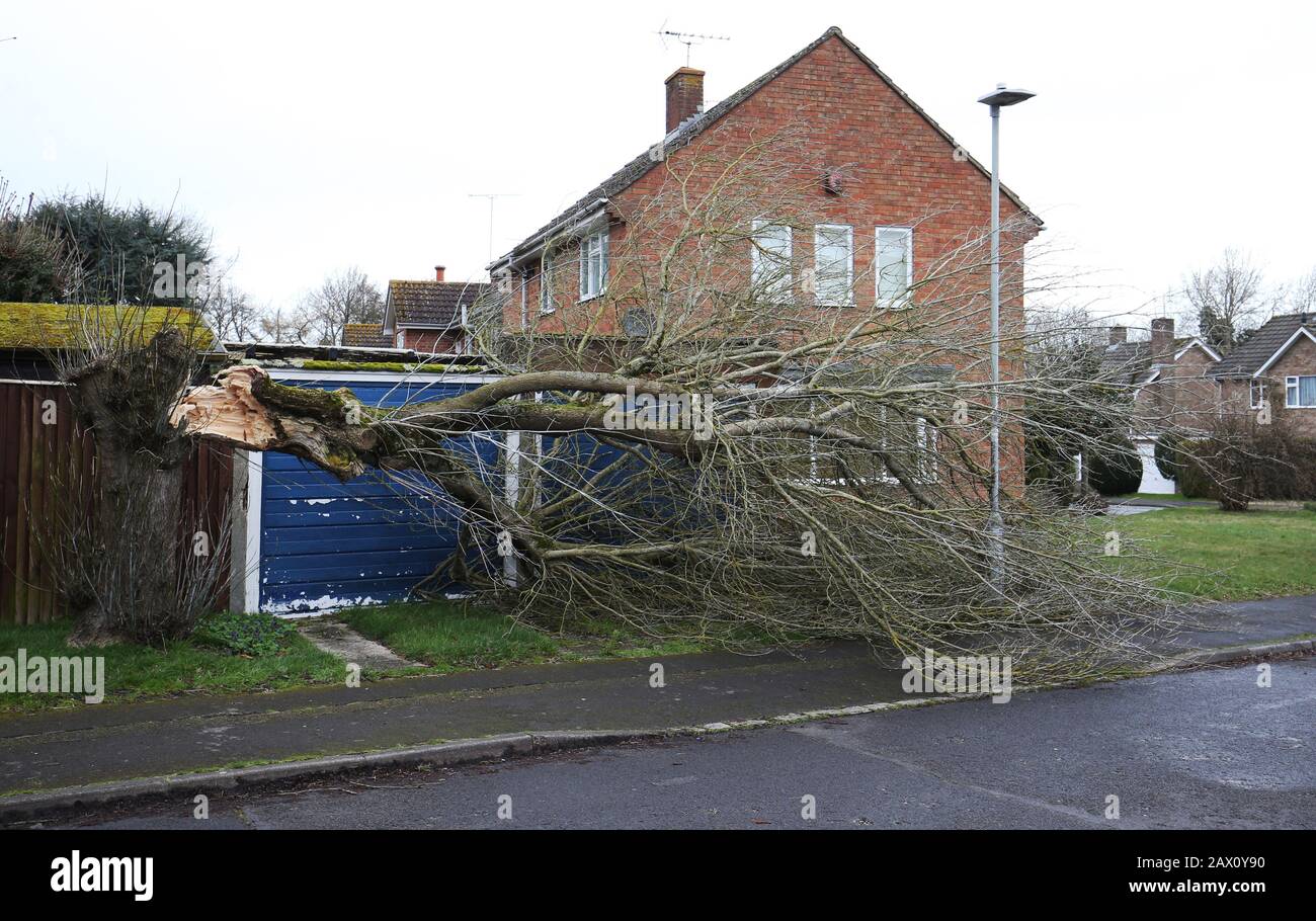 A fallen tree lays across garage doors in Chelwood Road, Earley ...