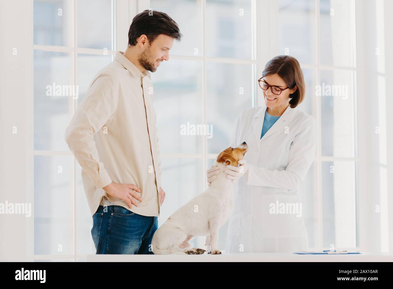 Female doctor examines male patient hi-res stock photography and images ...