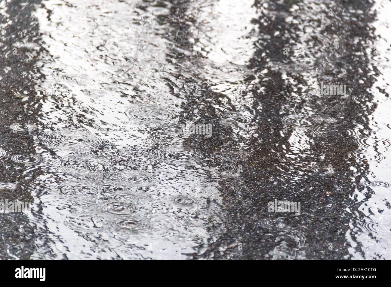 rain, raindrops on the pavement in a spray of water and the reflection ...