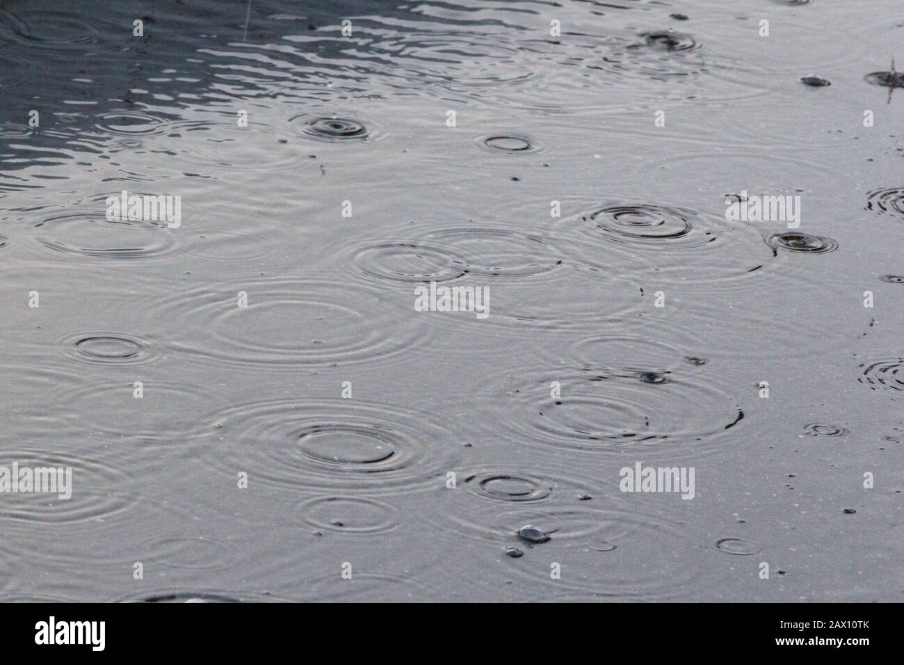 rain, raindrops on the pavement in a spray of water and the reflection ...