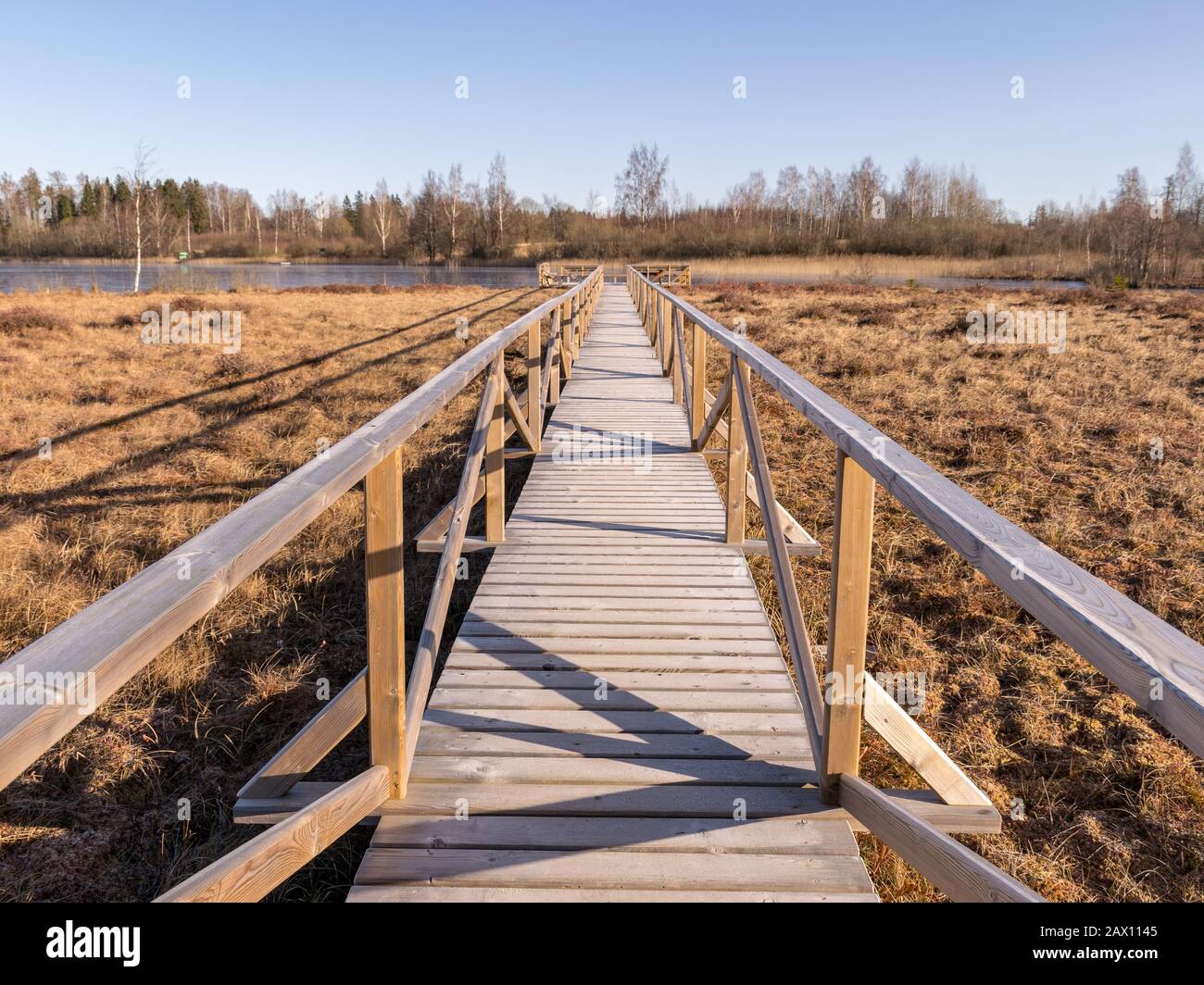 landscape with a wooden pedestrian footbridge over a swampy lake shore ...
