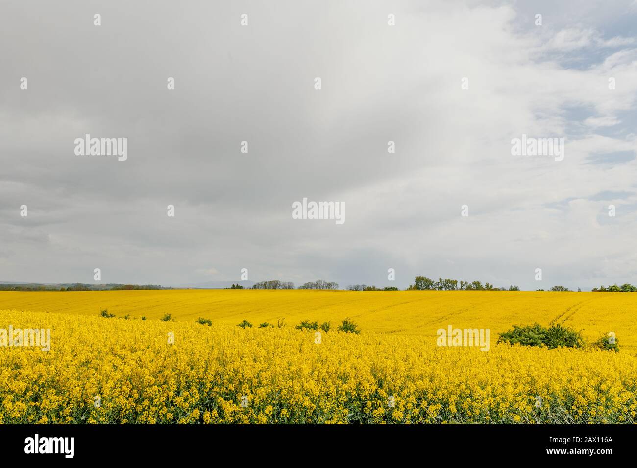 Agricultural Growth -Various Fields - Agriculture Farming Field Stock ...