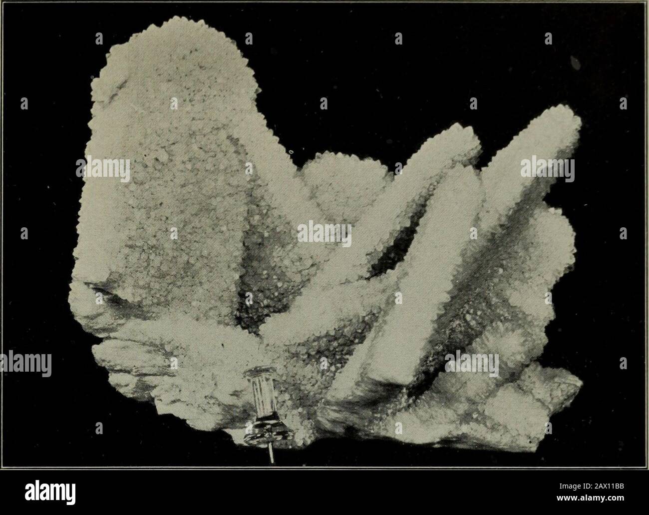 Chrome alum hi-res stock photography and images - Alamy