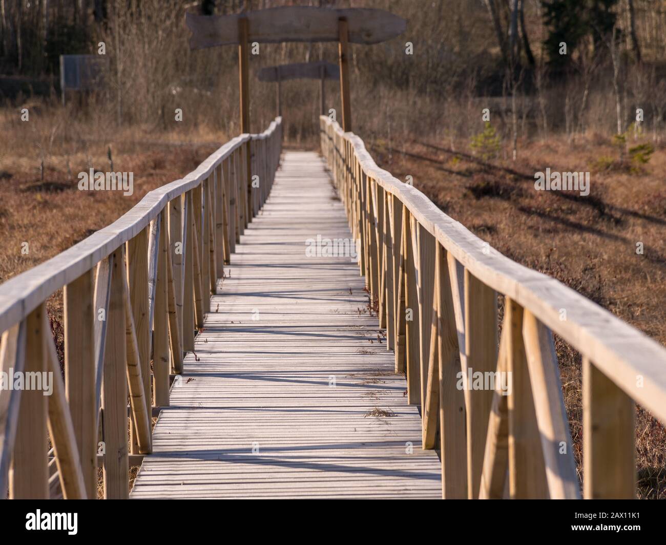 landscape with a wooden pedestrian footbridge over a swampy lake shore ...