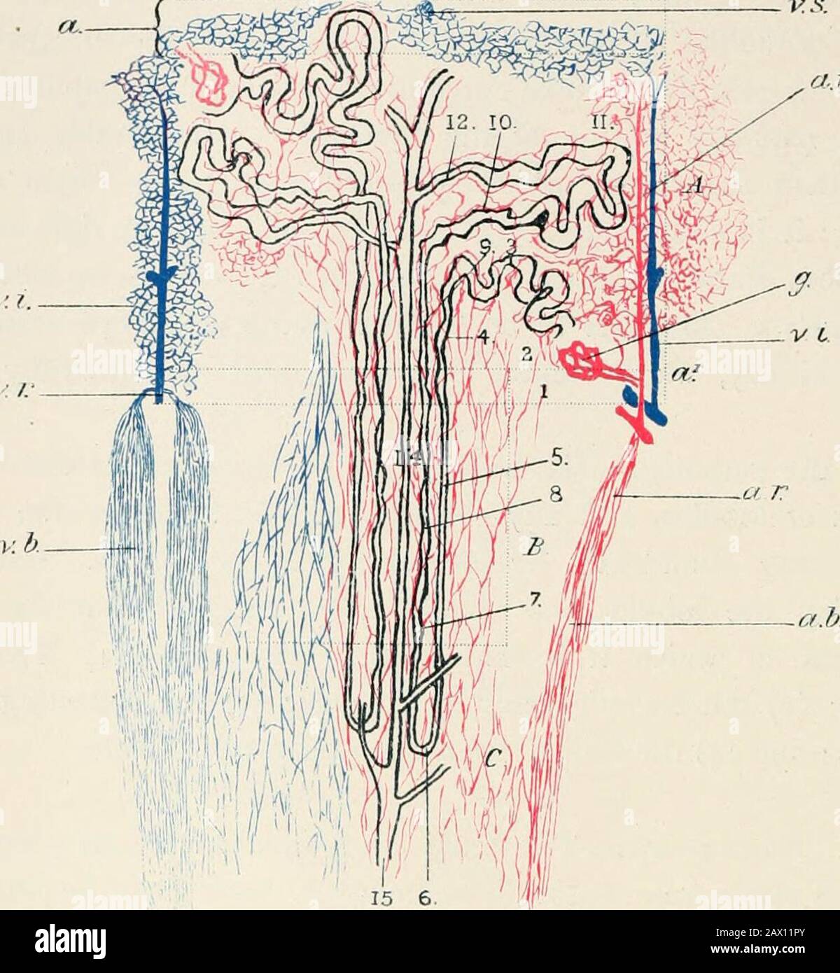 Practical pathology; a manual for students and practitioners . he ...