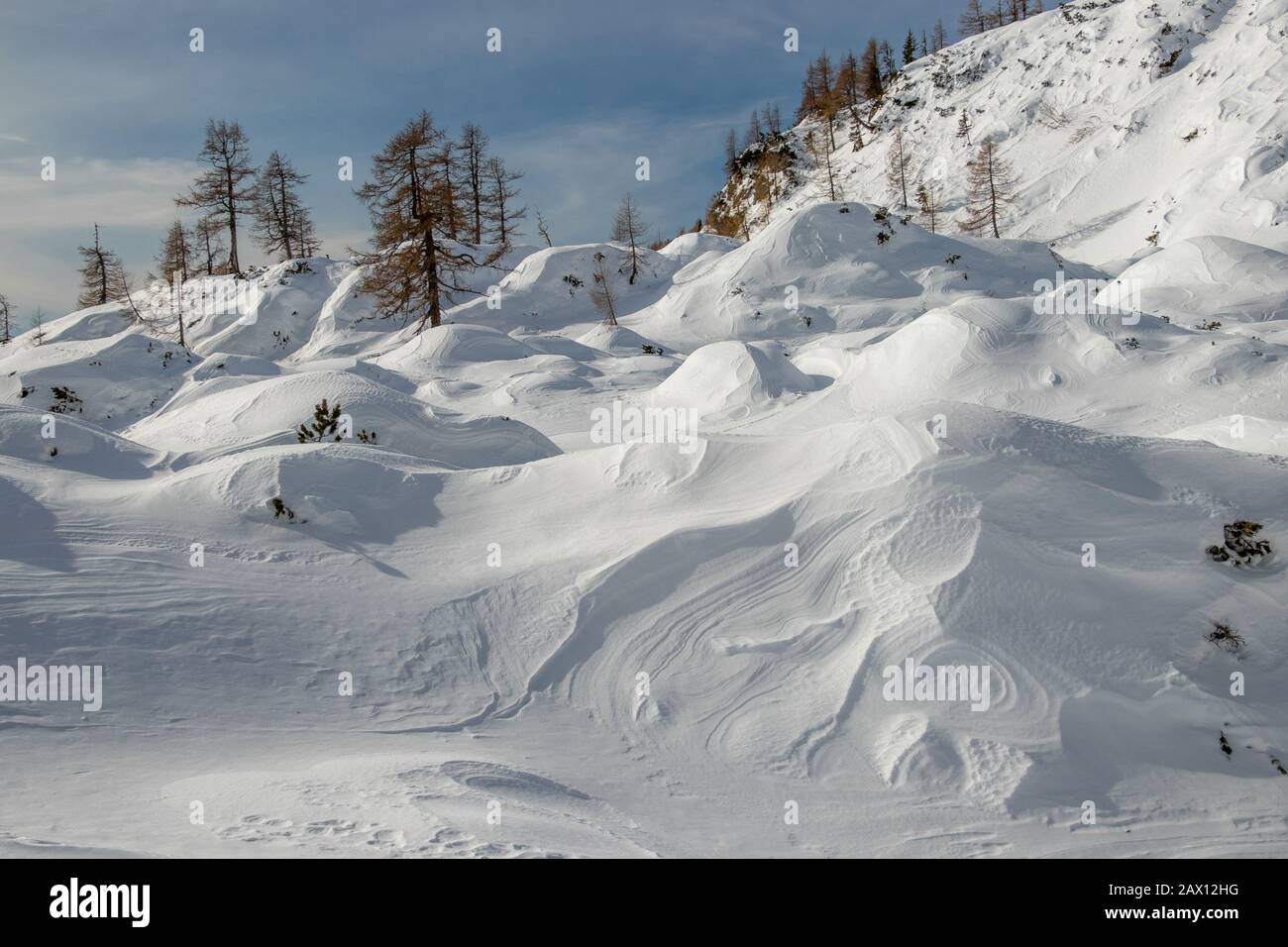 Natural snow lines in mountains with tress Stock Photo - Alamy
