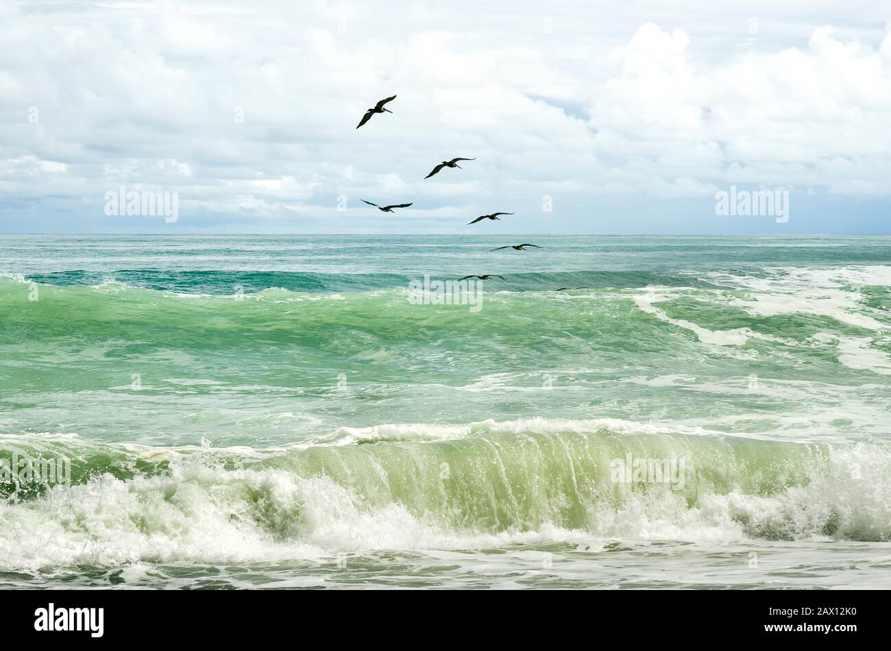 Beautiful birds hi-res stock photography and images - Alamy