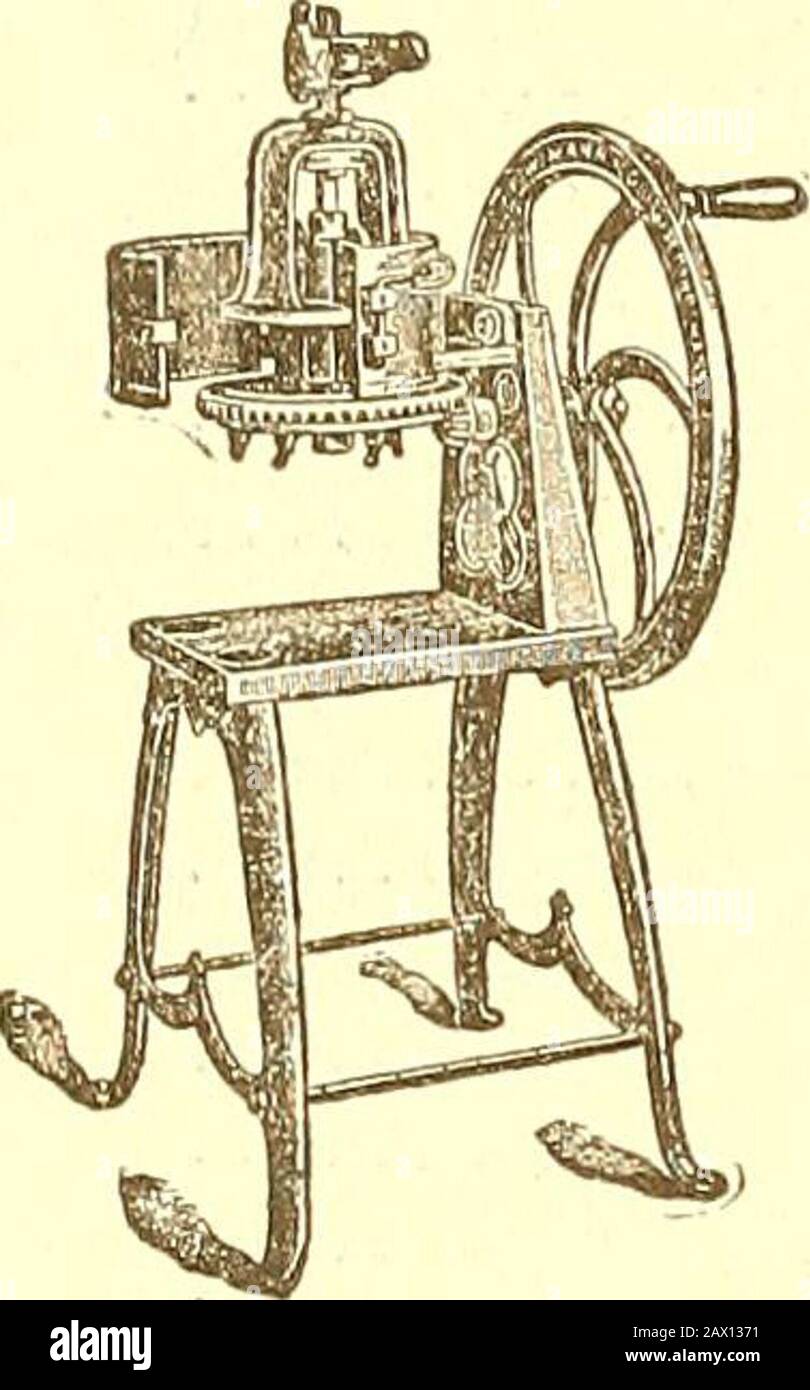 Successful mating hi-res stock photography and images - Alamy