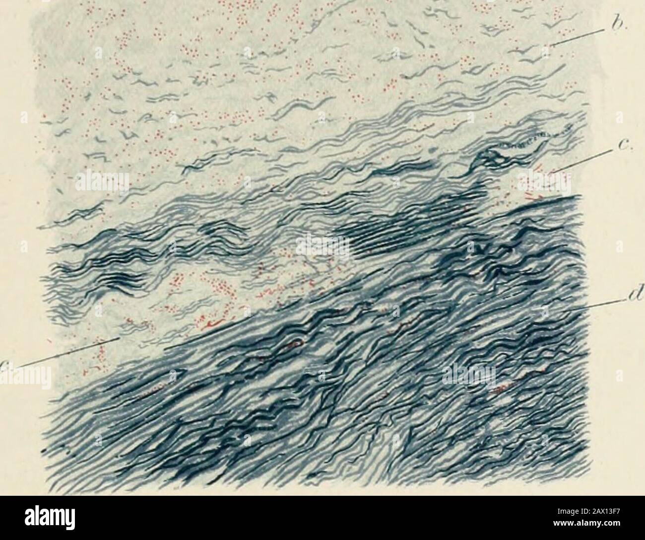 Oil staining hi-res stock photography and images - Alamy
