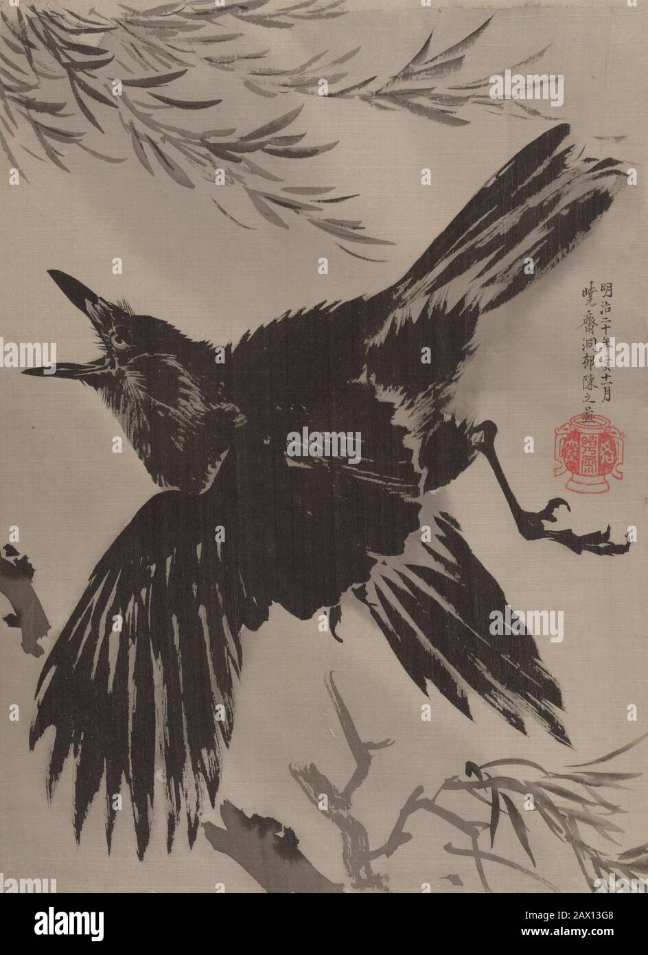 Crow and willow tree hi-res stock photography and images - Alamy