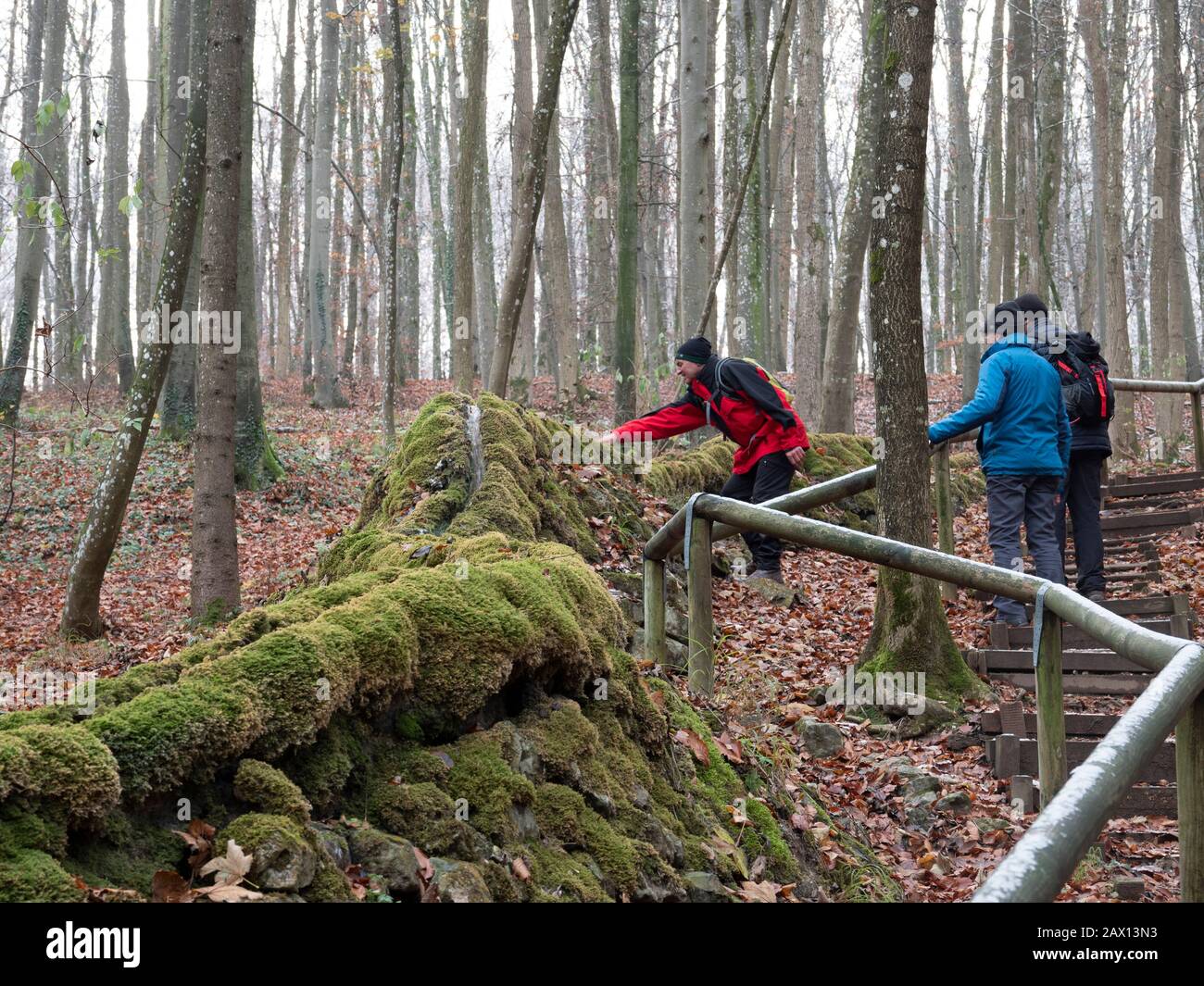 Kalk wald hi-res stock photography and images - Alamy