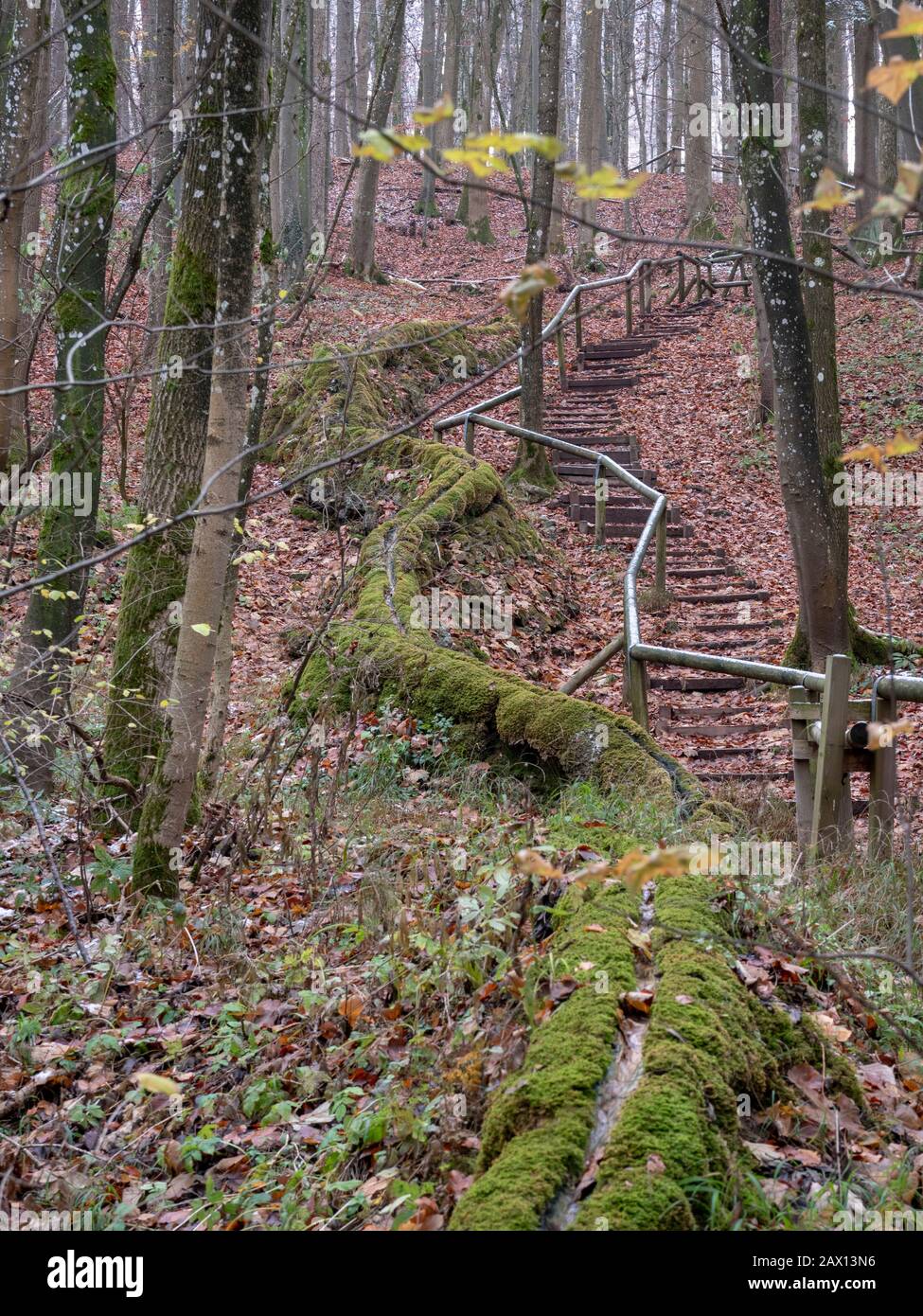 Wasserlauf hi-res stock photography and images - Alamy