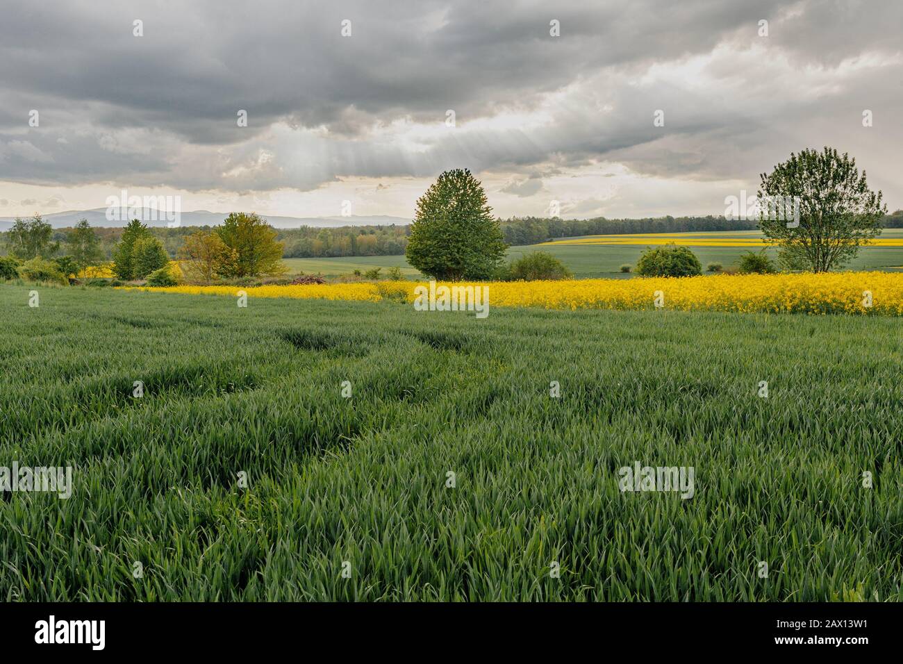 Agricultural Growth -Various Fields - Agriculture Farming Field Stock ...