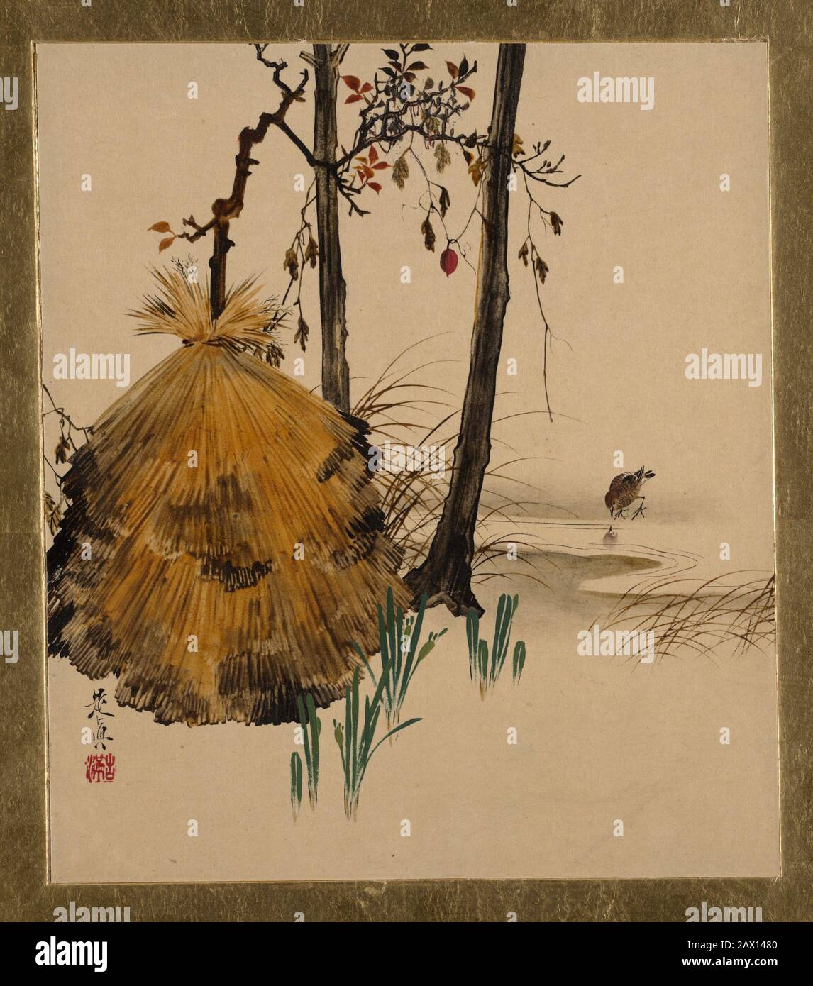 Japanese lacquer tree hi-res stock photography and images - Alamy