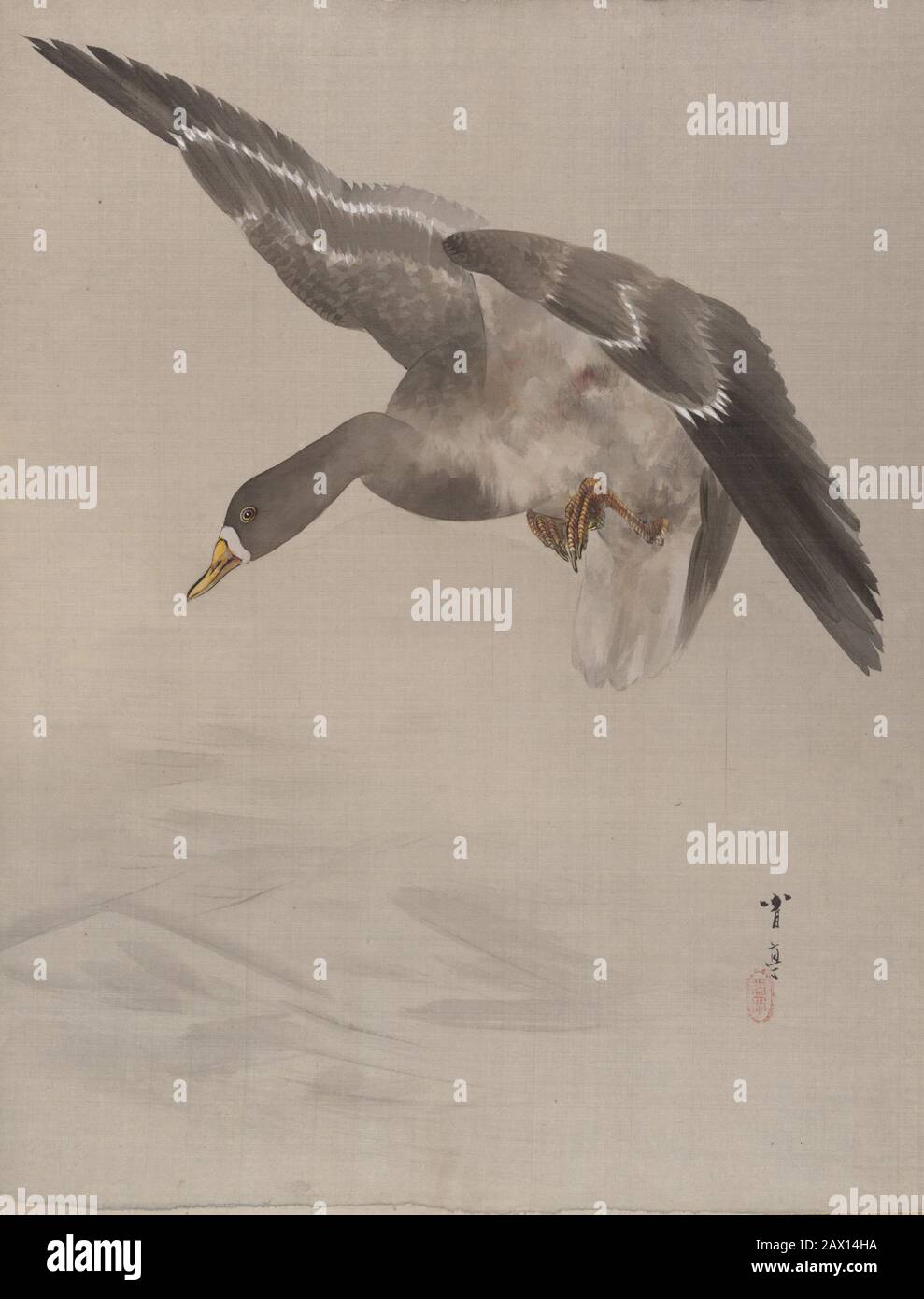 Duck, ca. 1887 Stock Photo - Alamy