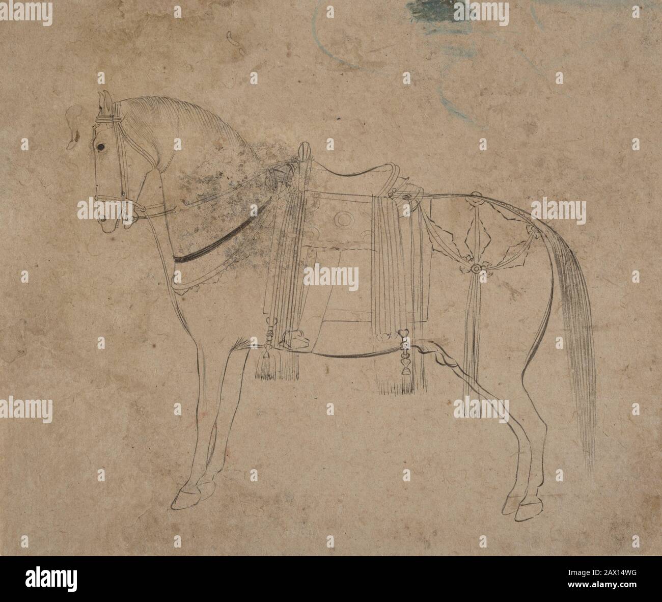 Indian ink horse hi-res stock photography and images - Alamy