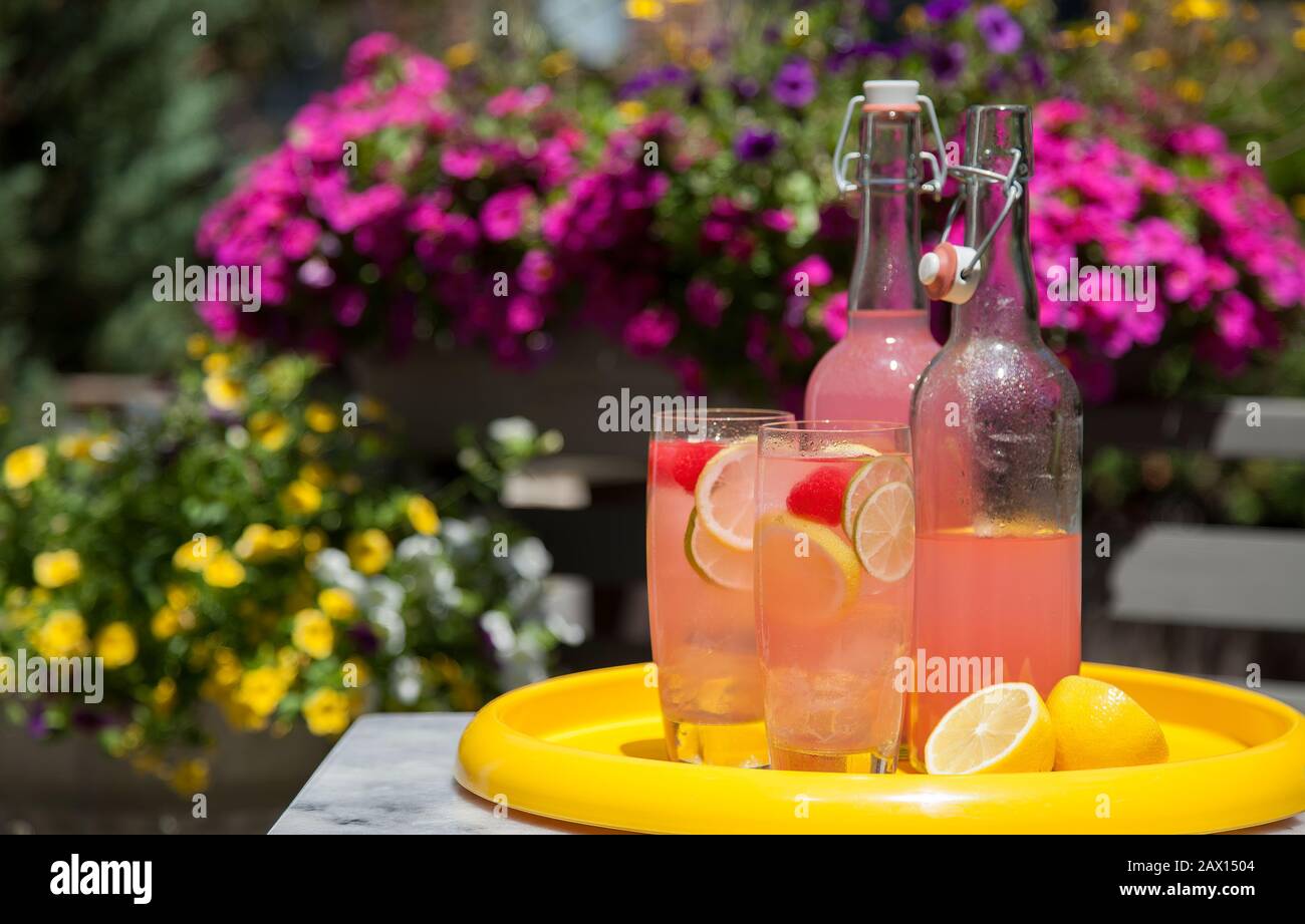 Glasses of pink lemonade with lemons, limes, and raspberries on a tray ...