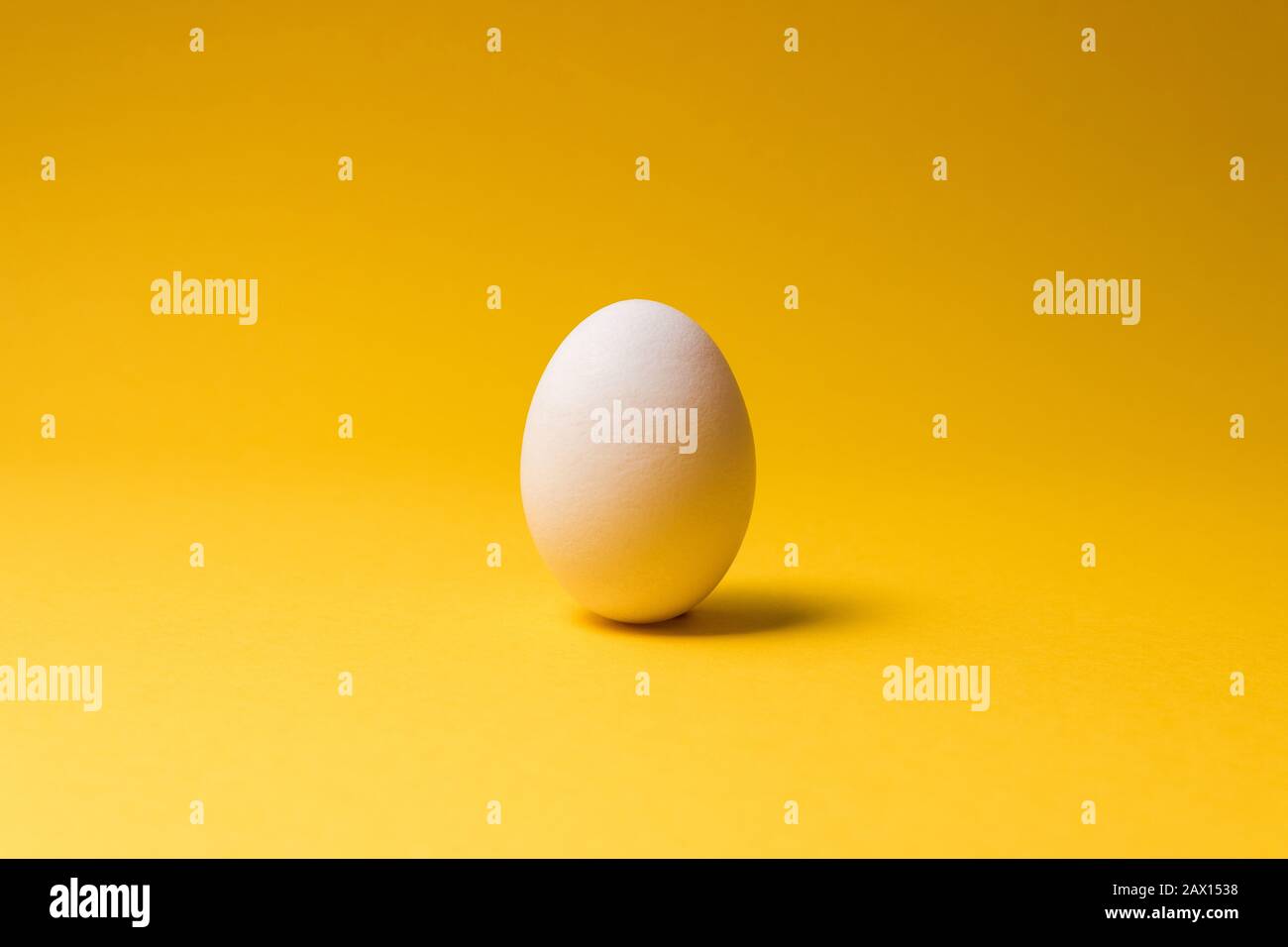 one egg in center of yellow background with dramatic light. design idea ...