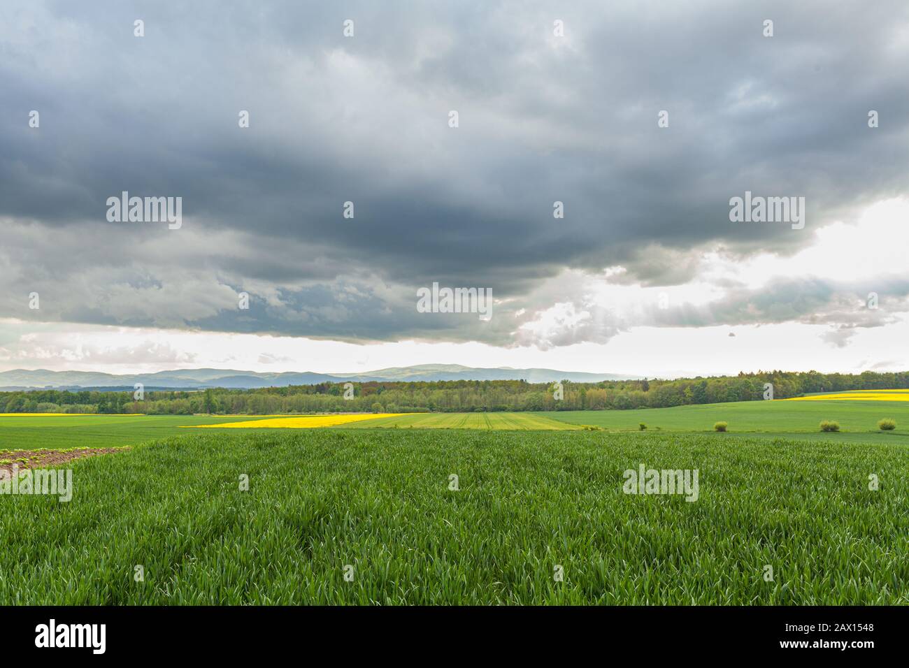 Agricultural Growth -Various Fields - Agriculture Farming Field Stock ...