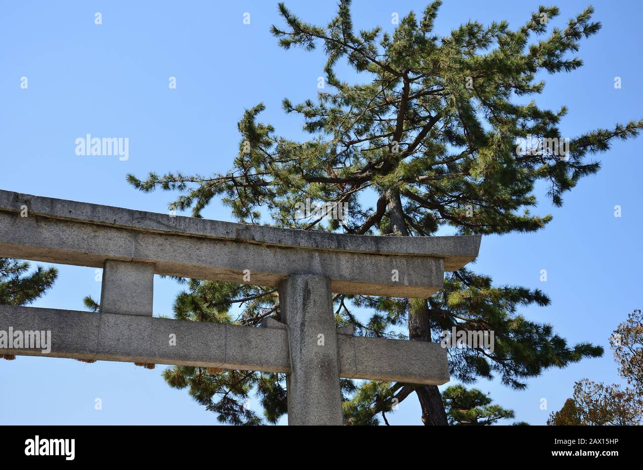 Ancient stone torii with green tree Stock Photo - Alamy