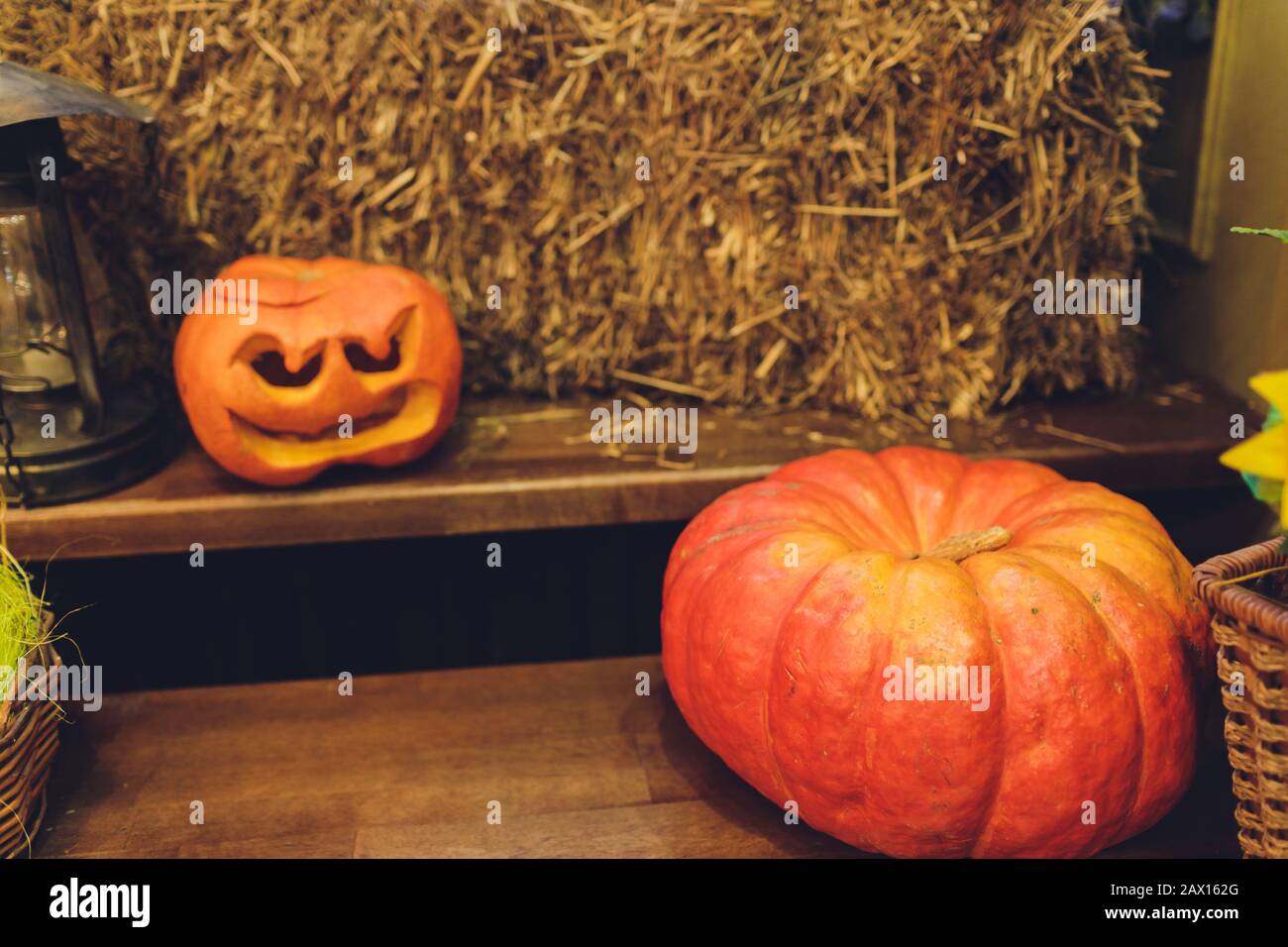 Pumpkin, Squash. Happy Thanksgiving Day Background. Autumn Thanksgiving ...