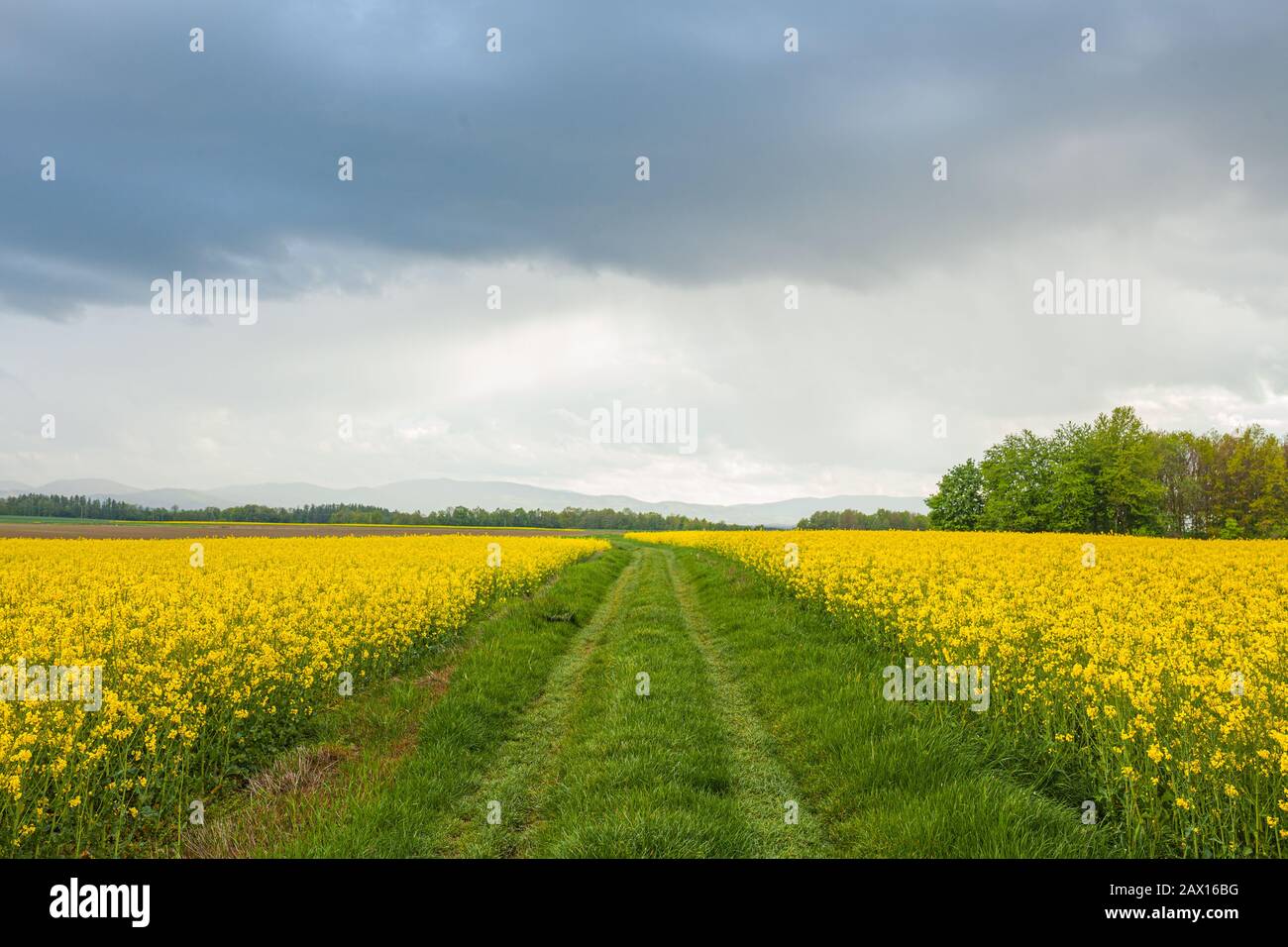 Agricultural Growth -Various Fields - Agriculture Farming Field Stock ...