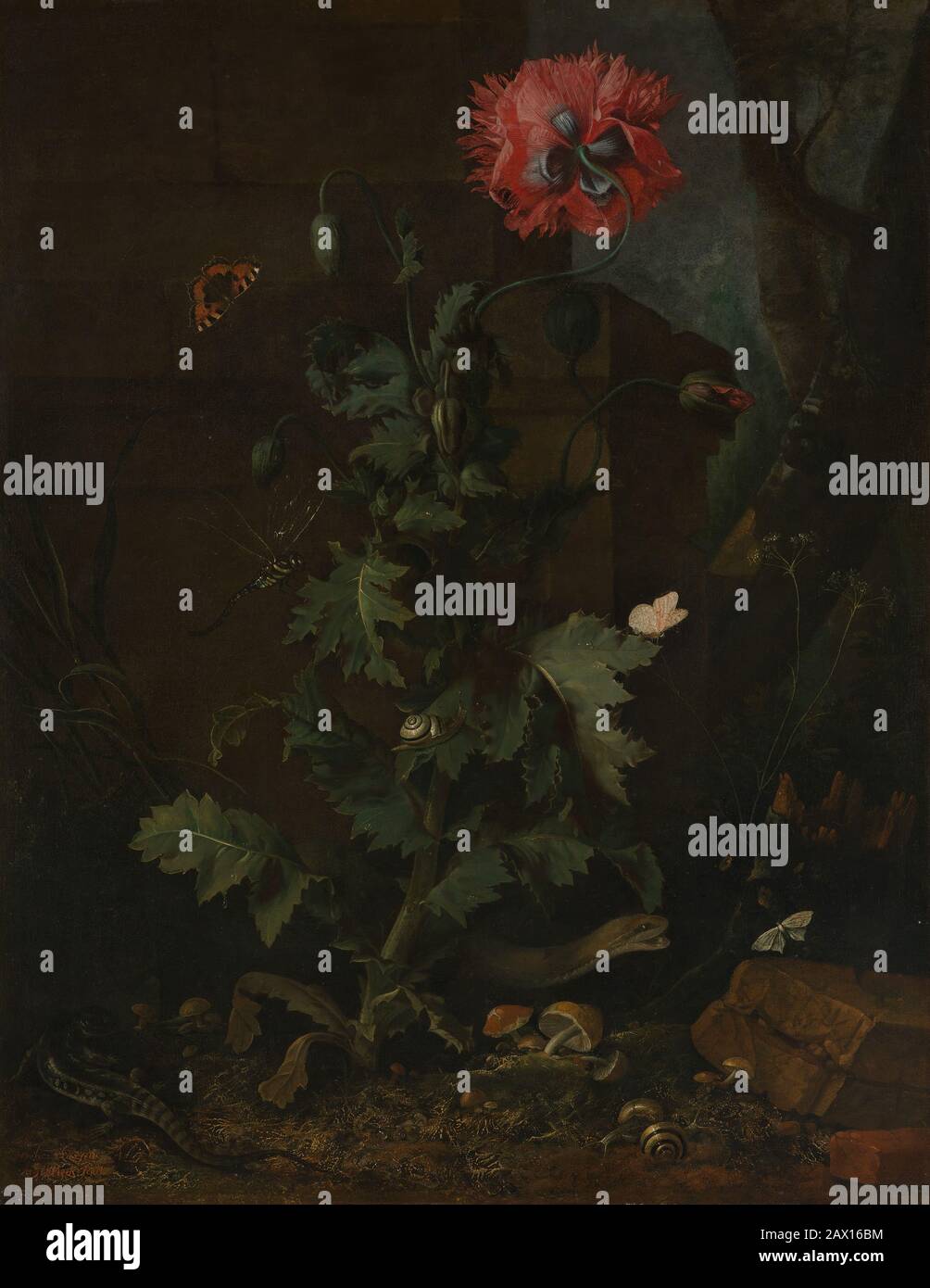 Oil canvas insects hi-res stock photography and images - Alamy