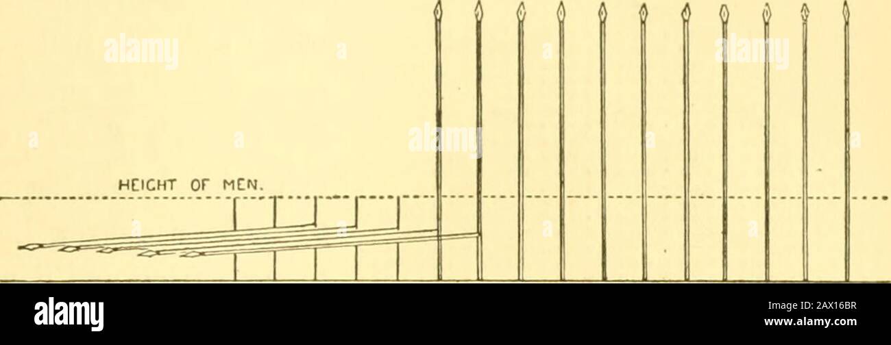 Sarissas hi-res stock photography and images - Alamy