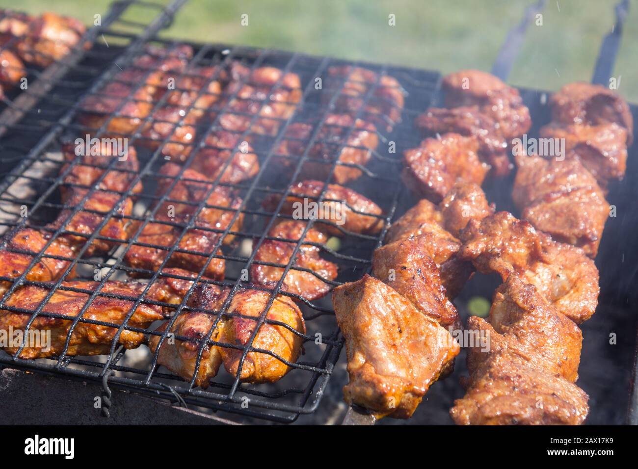 Barbecue grill with meat on nature, outdoor, close up Stock Photo - Alamy