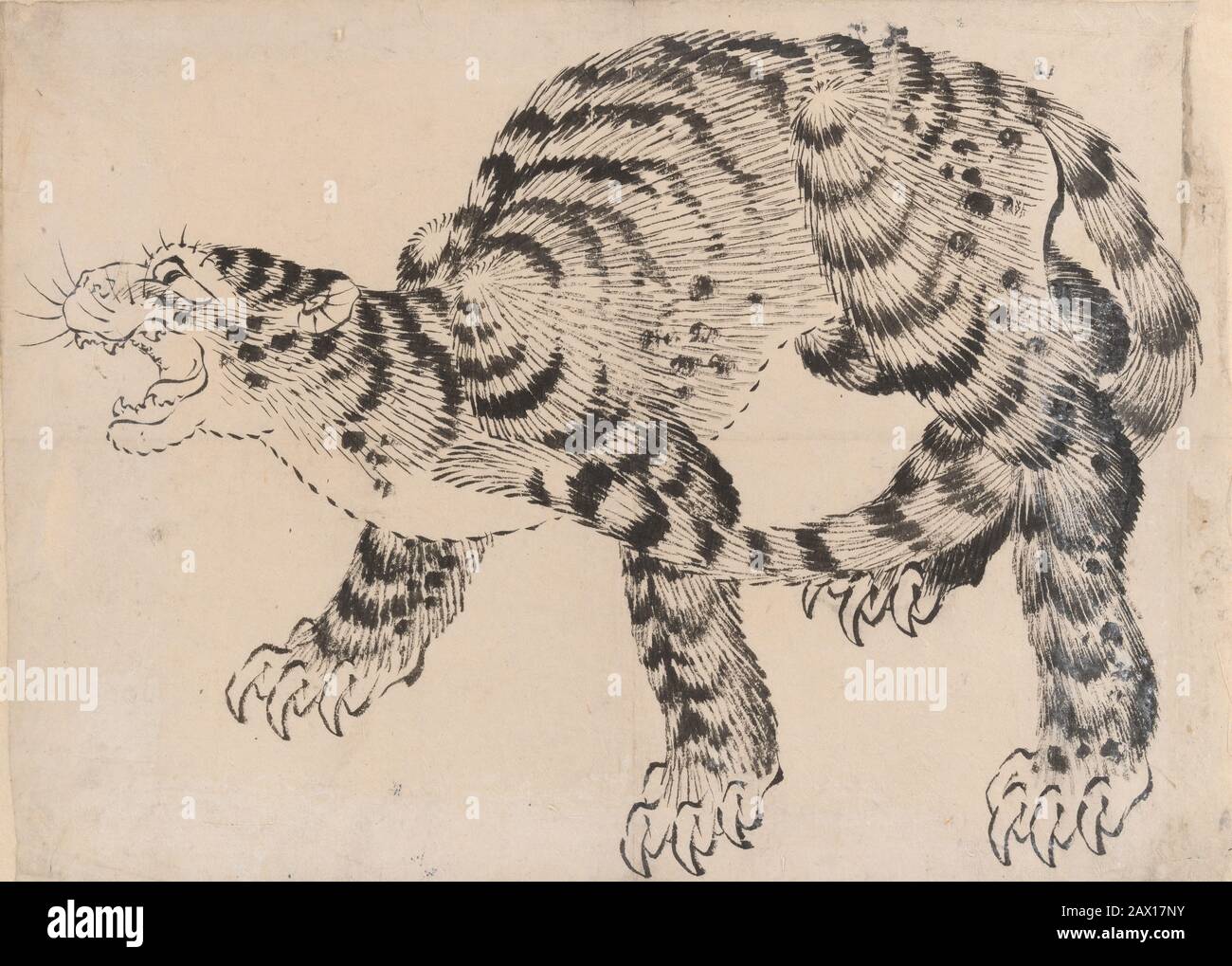 Tiger, 19th century Stock Photo - Alamy