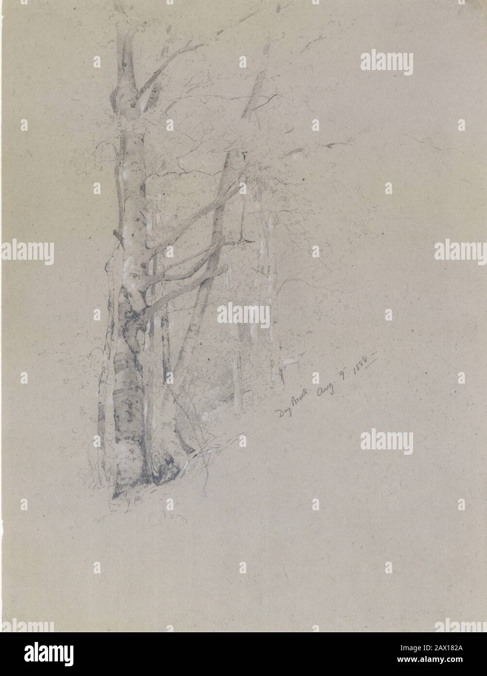 Dry Brook, 1888 Stock Photo - Alamy