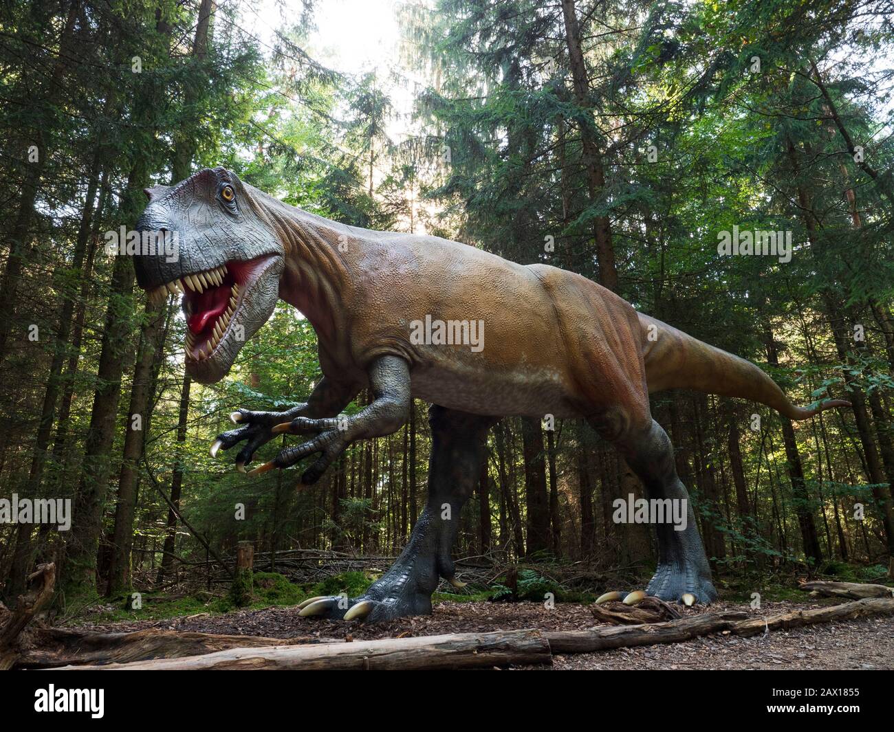 Dinopark hi-res stock photography and images - Alamy