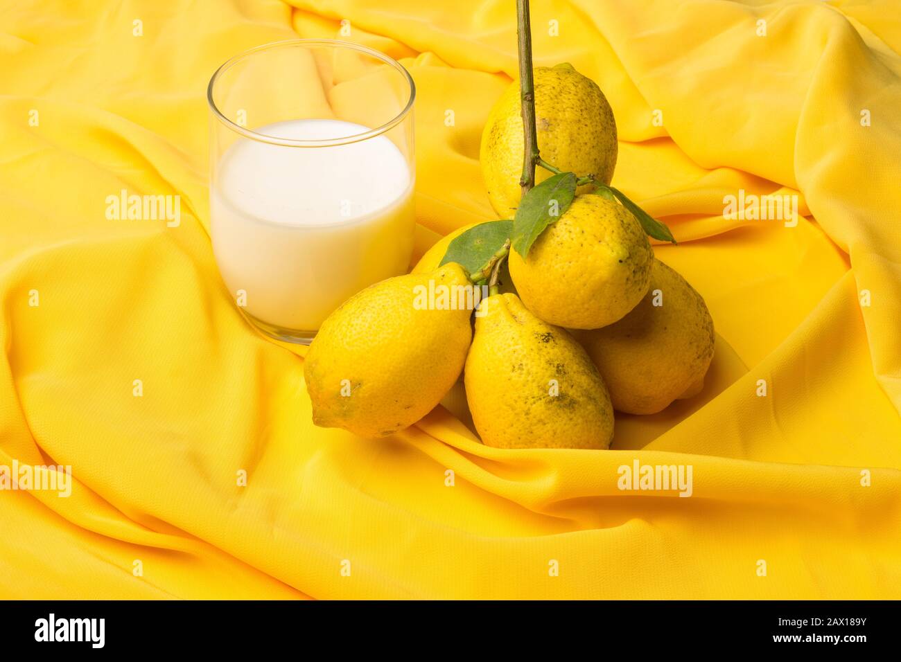 Freshly milked white milk from the cow and yellow lemons with an acid ...