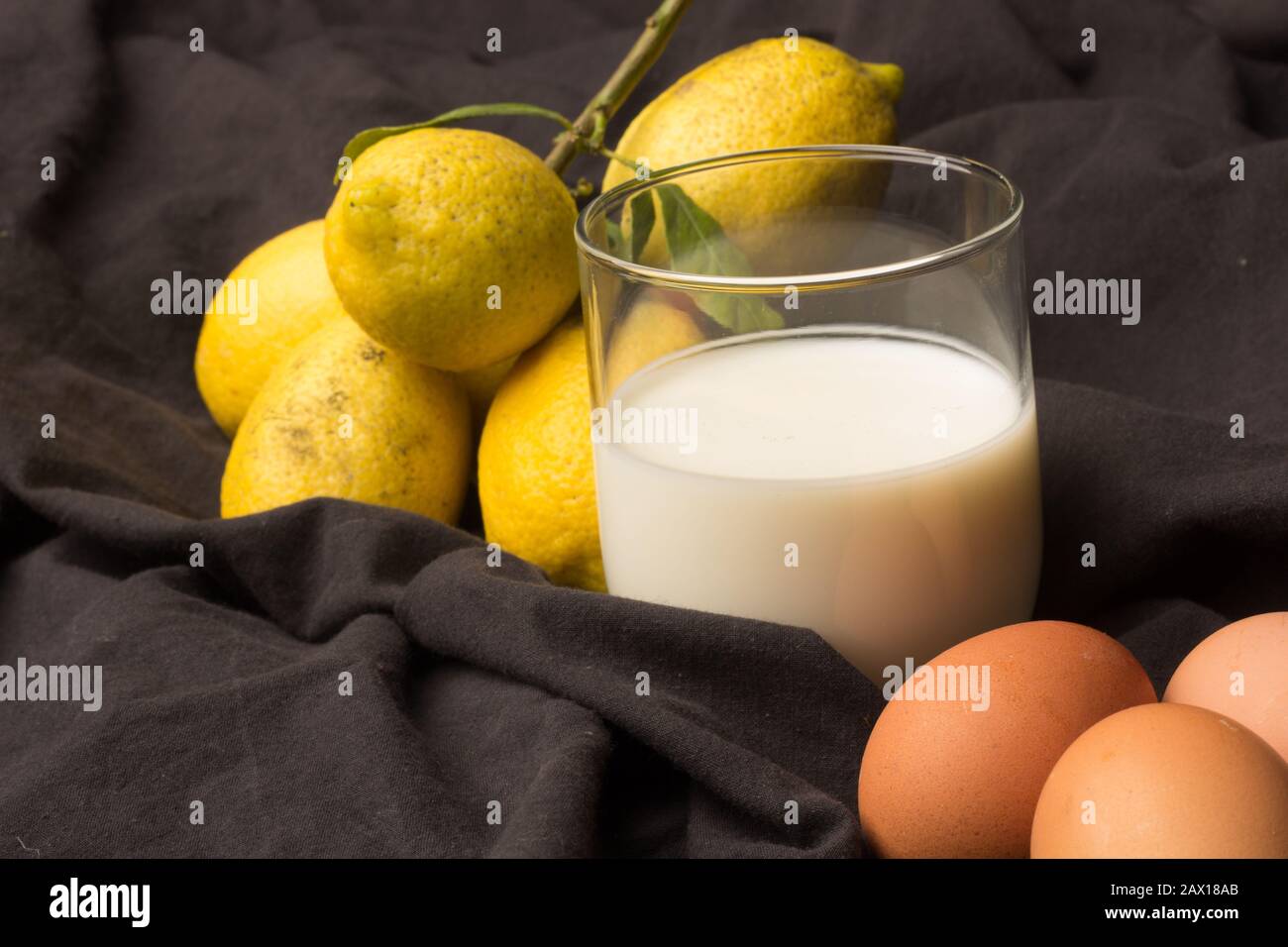 Freshly milked white milk from the cow and yellow lemons with an acid ...