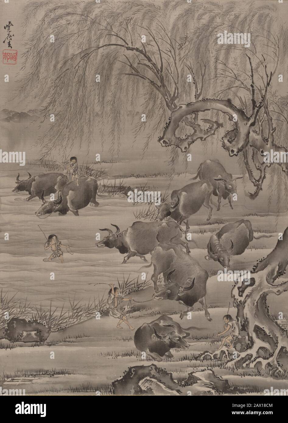 Japanese water buffalo hi-res stock photography and images - Alamy