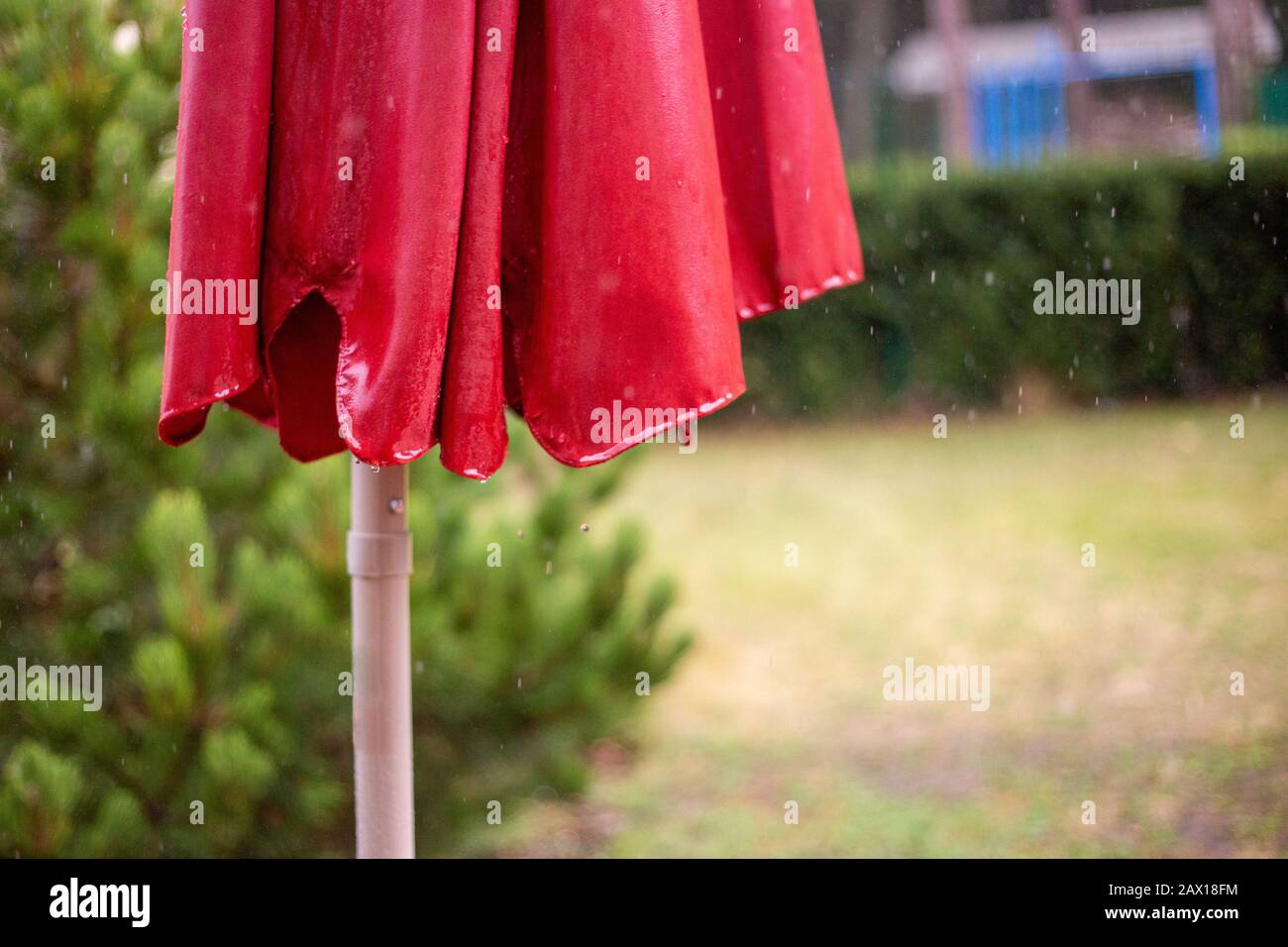 a wet red parasol in the summer rain with raindrops Stock Photo - Alamy