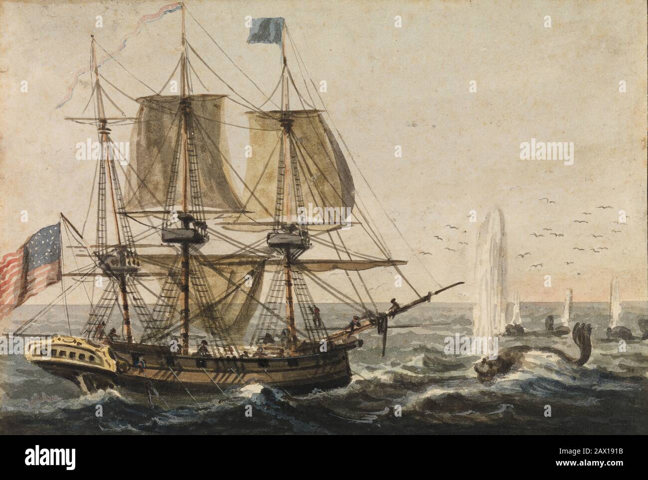 Replenishing the Ship's Larder with Codfish off the Newfoundland Coast ...