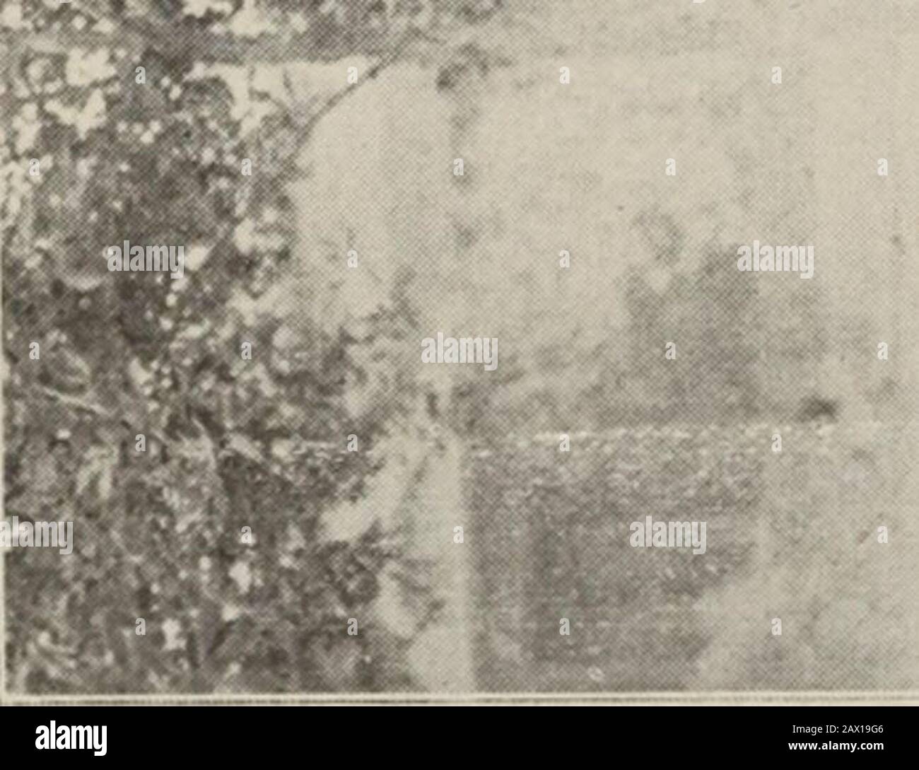 Catalogue of the Arizona Territorial Normal School at Tempe, Arizona ...