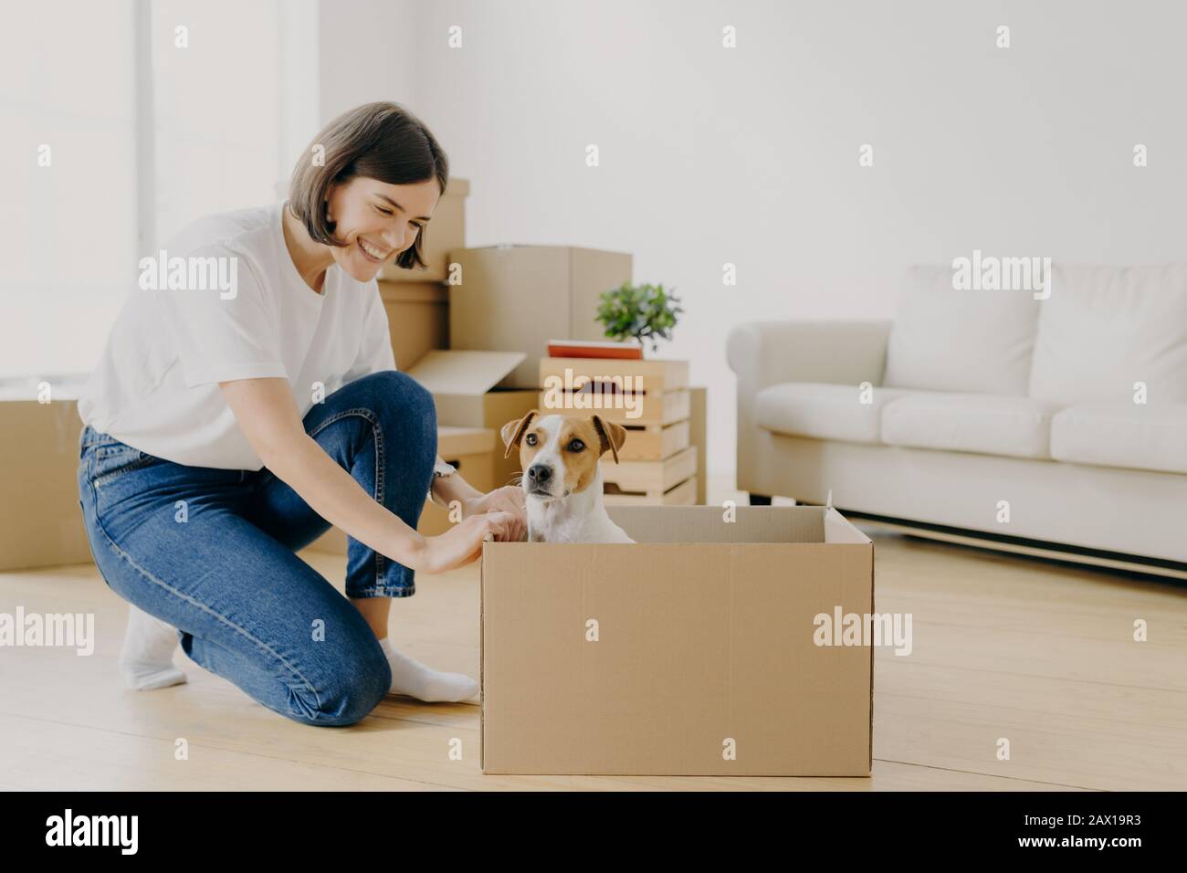 Box pose hi-res stock photography and images - Alamy