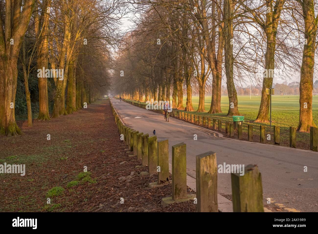 Pontcanna High Resolution Stock Photography and Images - Alamy