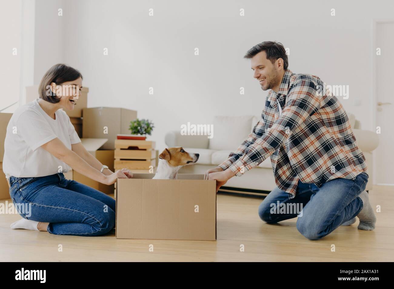 Funny young woman and man have fun during relocation, pose on floor ...