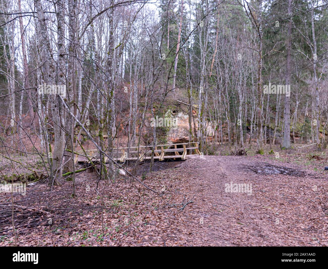 leaf-covered pedestrian path in the forest Stock Photo - Alamy