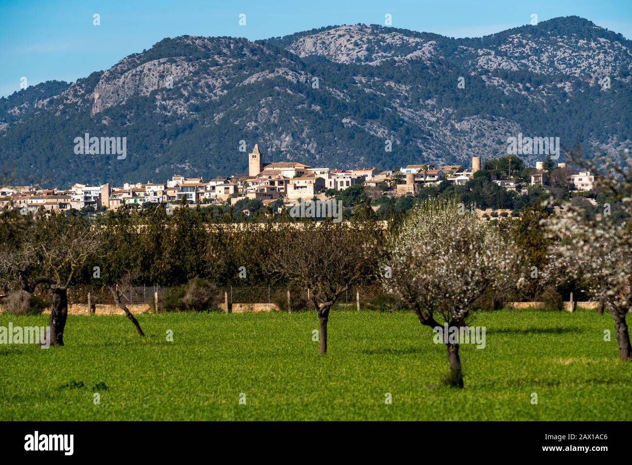Sa pobla mallorca hi-res stock photography and images - Alamy