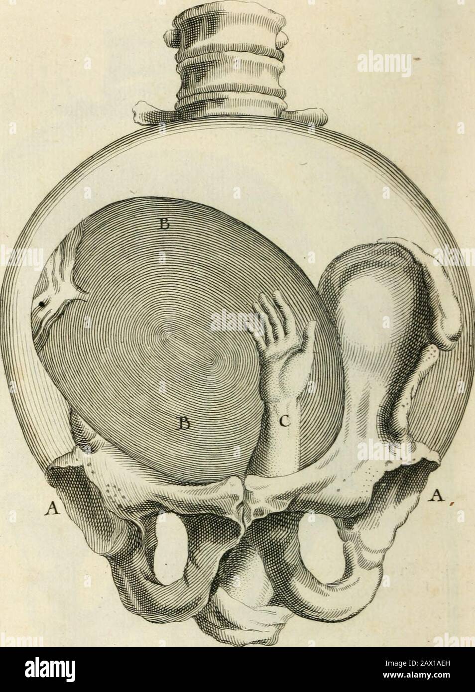 La main sur les bras hi-res stock photography and images - Alamy