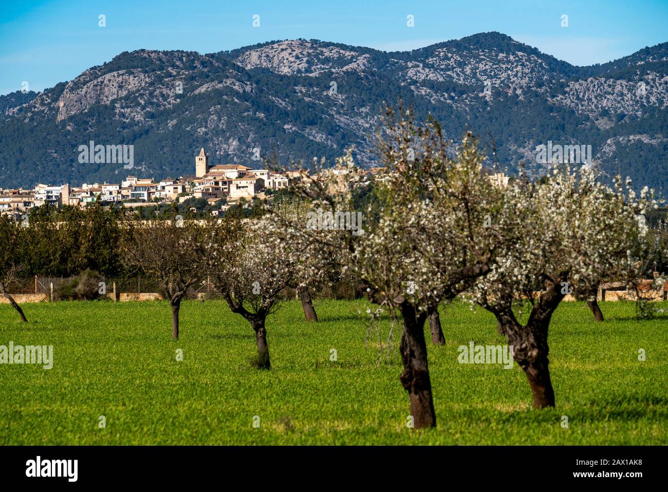 Sa pobla mallorca hi-res stock photography and images - Alamy