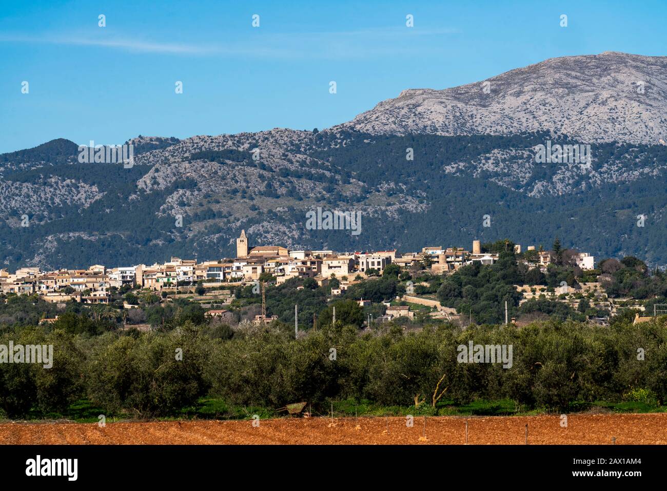 Sa pobla mallorca hi-res stock photography and images - Alamy