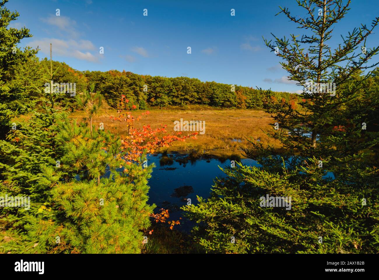 Autumn Views from Carriage Path in Acadia National Park on Mount Desert ...