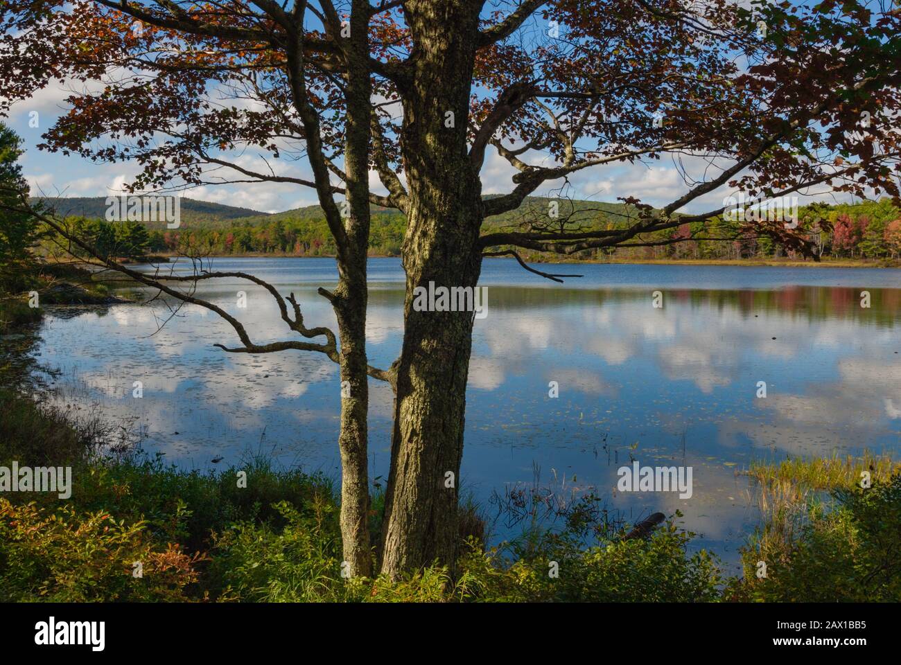 Witch hole pond hi-res stock photography and images - Alamy
