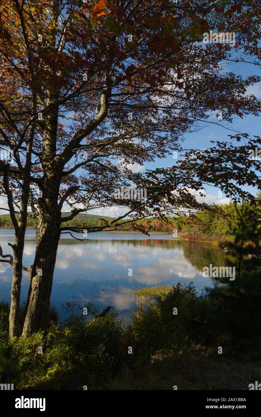 Witch Hole Pond, Acadia National Park, Mount Desert Island, Maine Stock ...