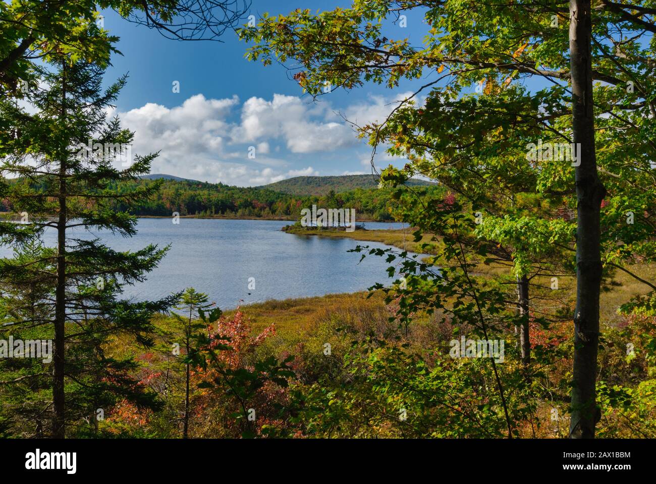 Witch Hole Pond in Acadia National Park on Mount Desert Island, Maine ...